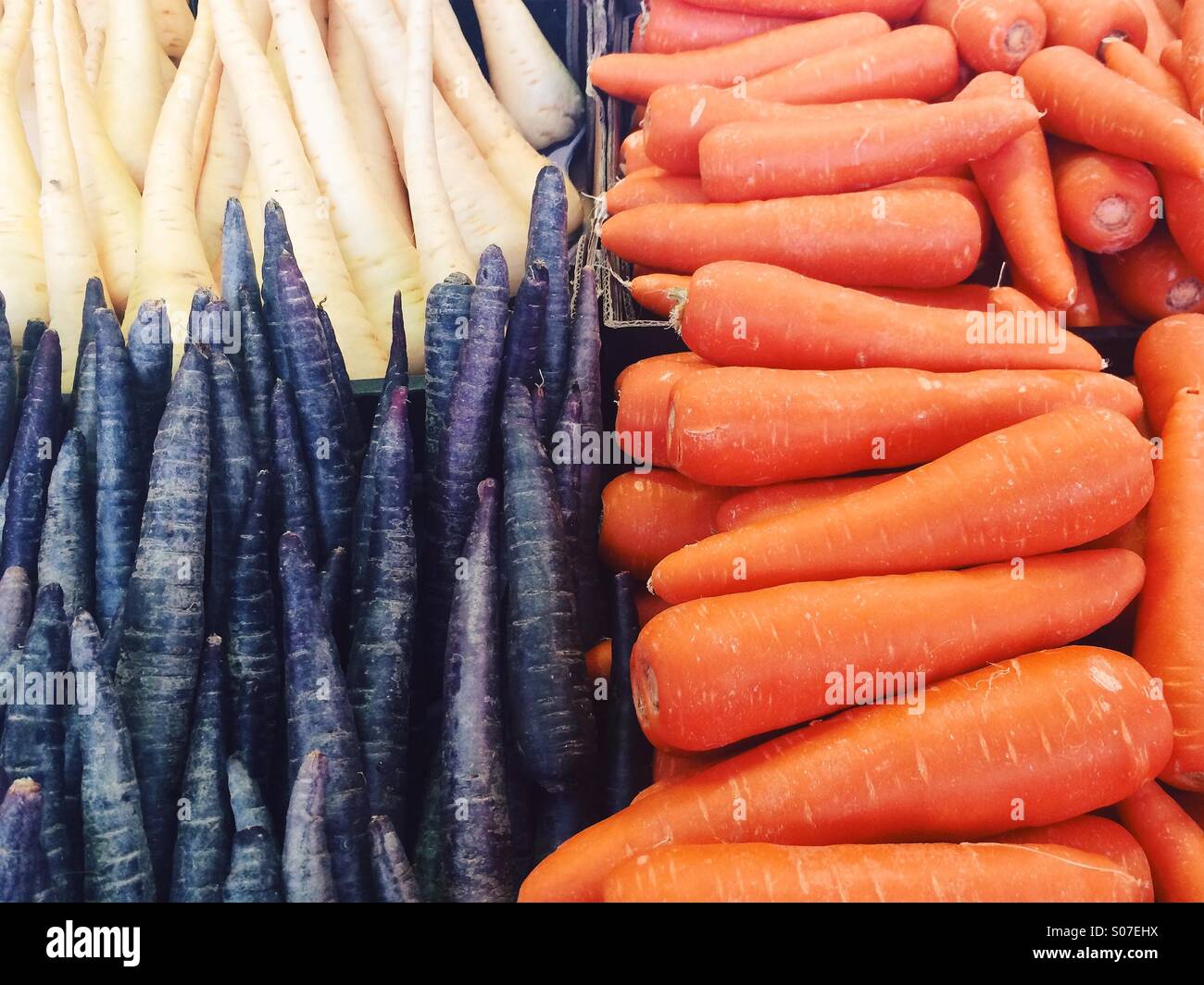 Purple parsnip hi-res stock photography and images - Alamy