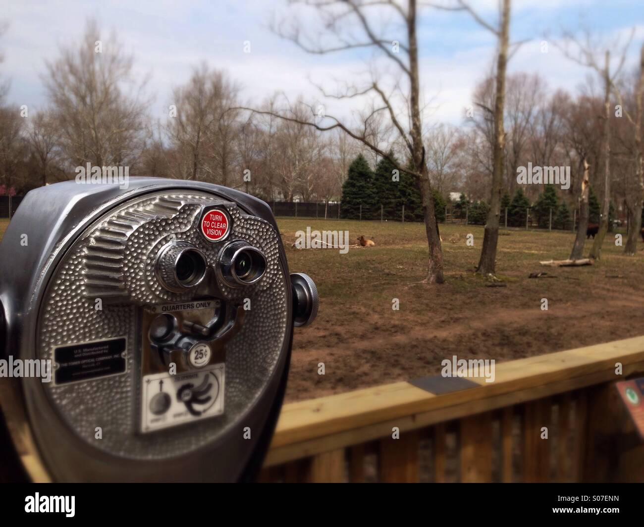 Zoo animal watching hi-res stock photography and images - Alamy