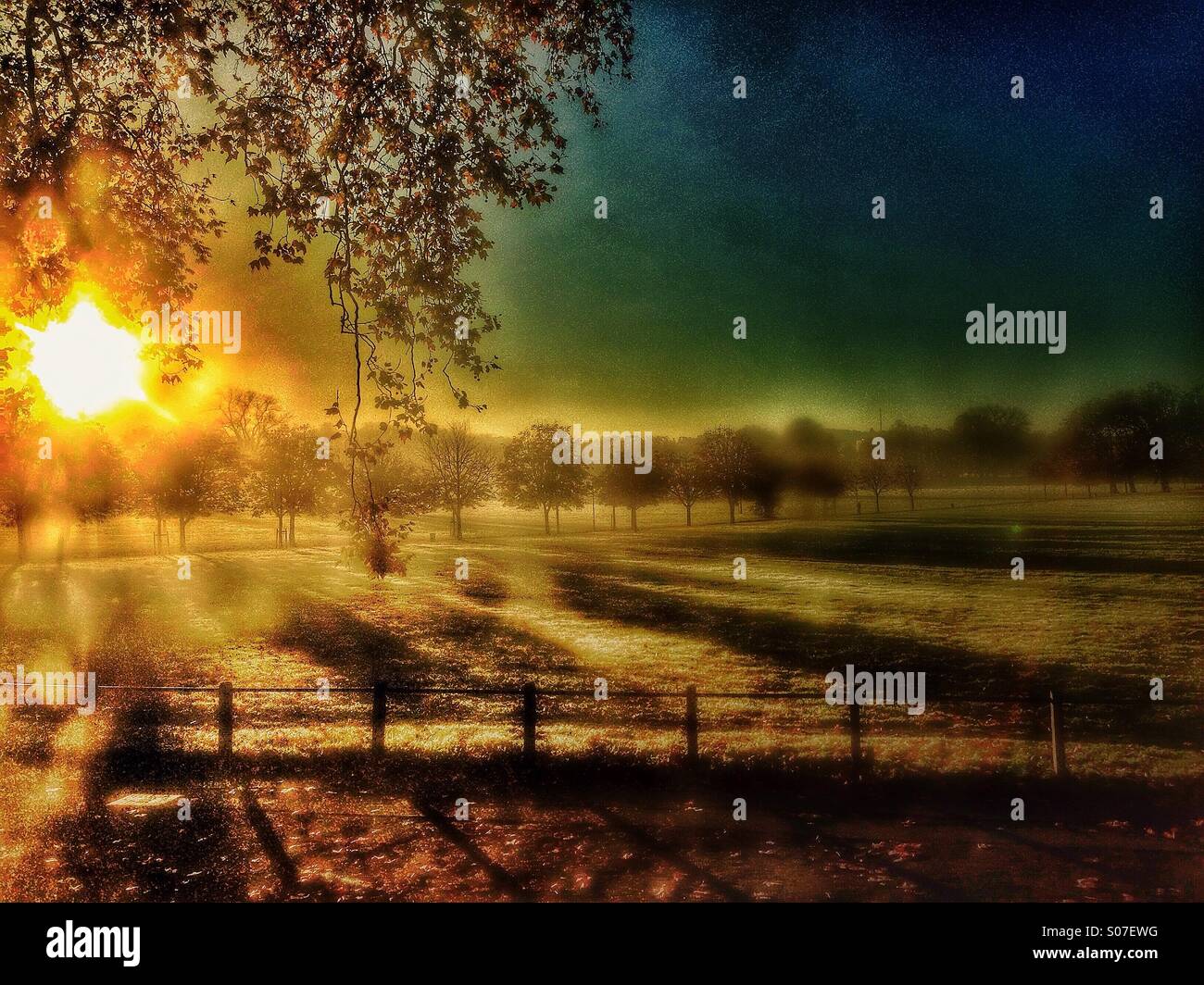 Morning sun over Peckham Rye park Stock Photo - Alamy