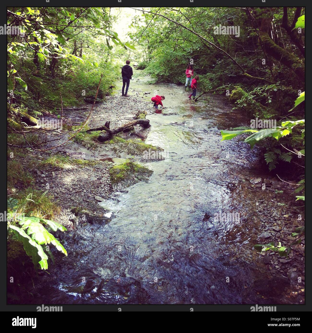 Children playing in river hi-res stock photography and images - Alamy