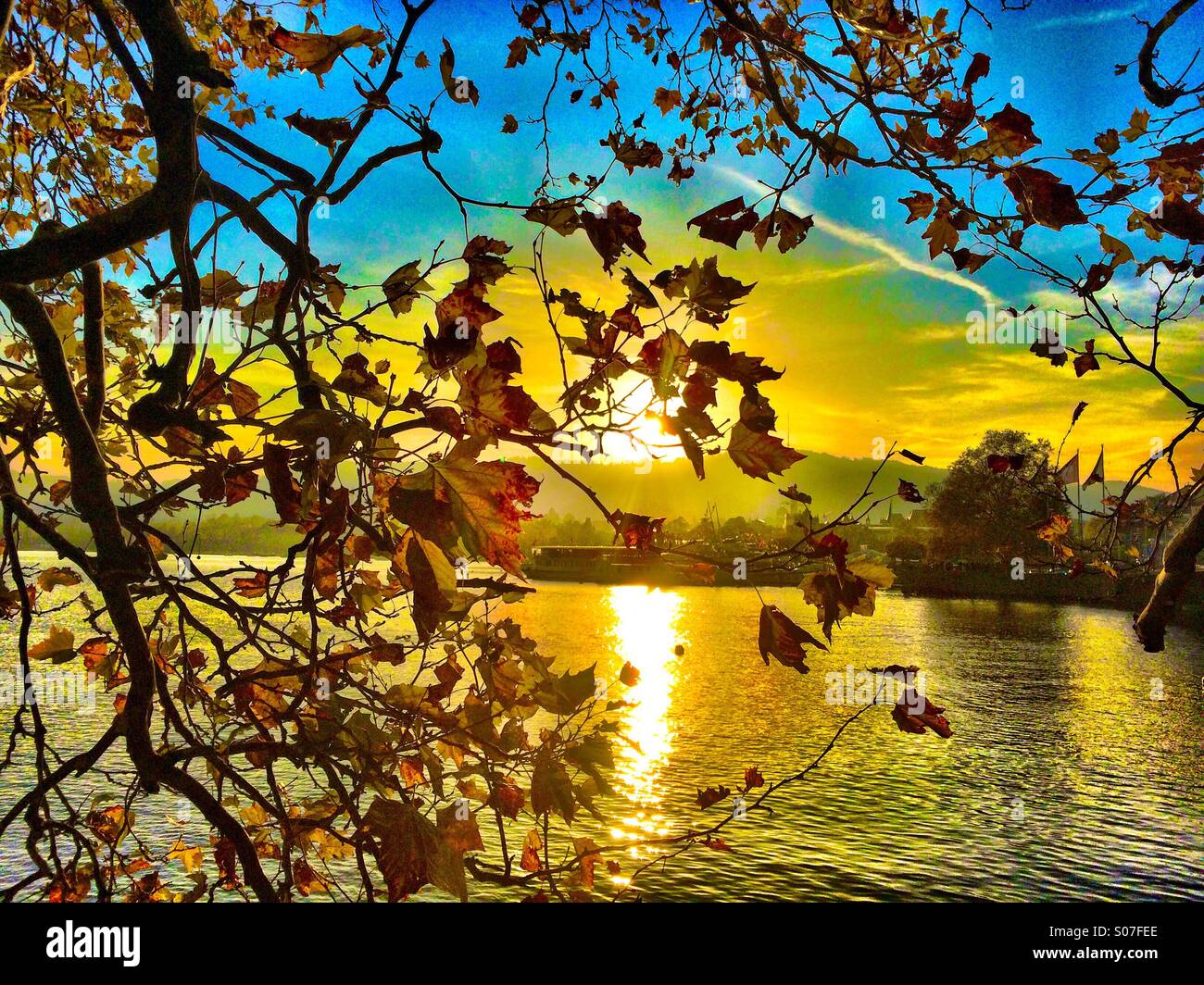 The colours of Autumn Stock Photo - Alamy