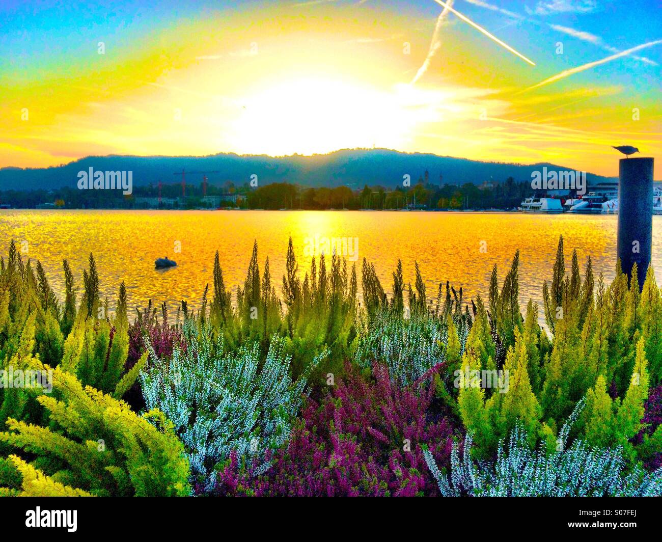 The colours of Autumn in Zurich Stock Photo - Alamy