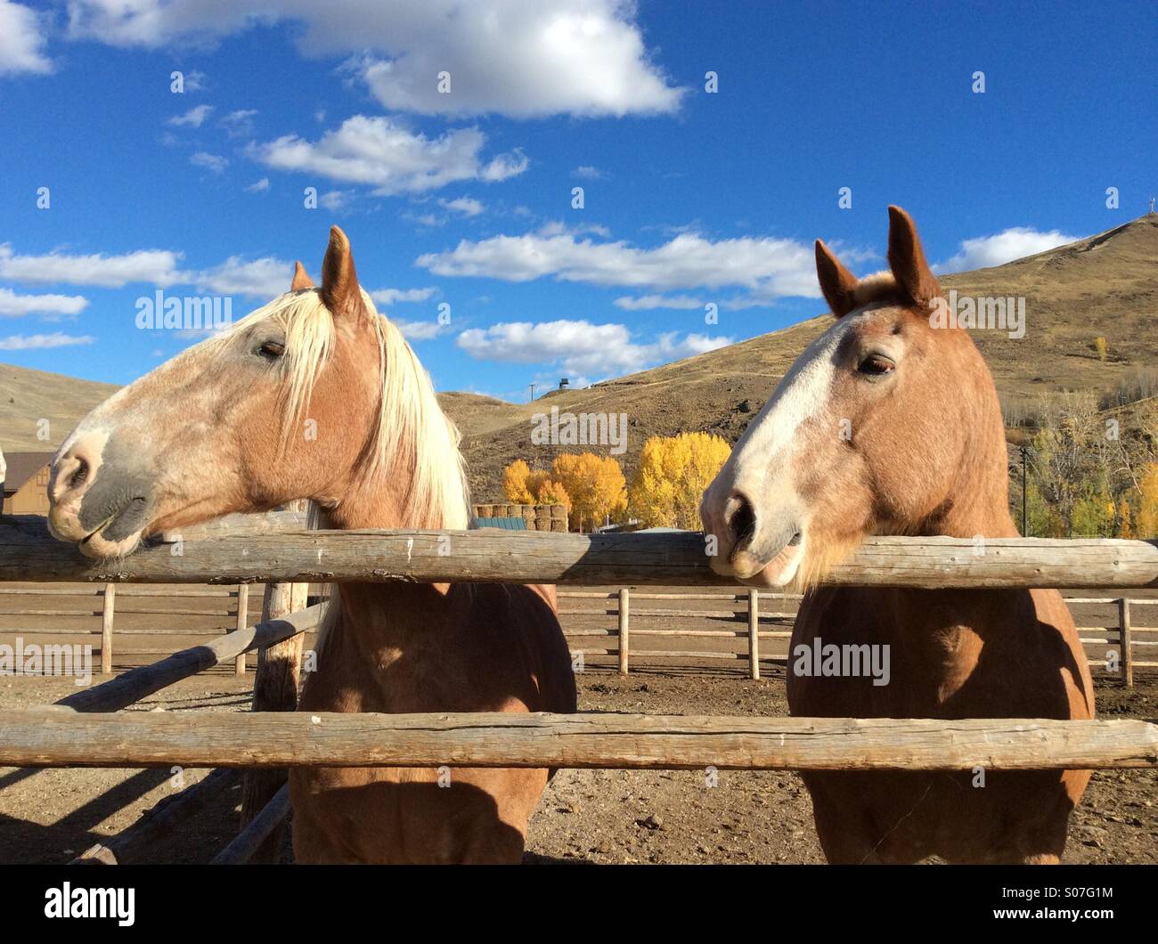 Kaimanawa mountains hi-res stock photography and images - Alamy
