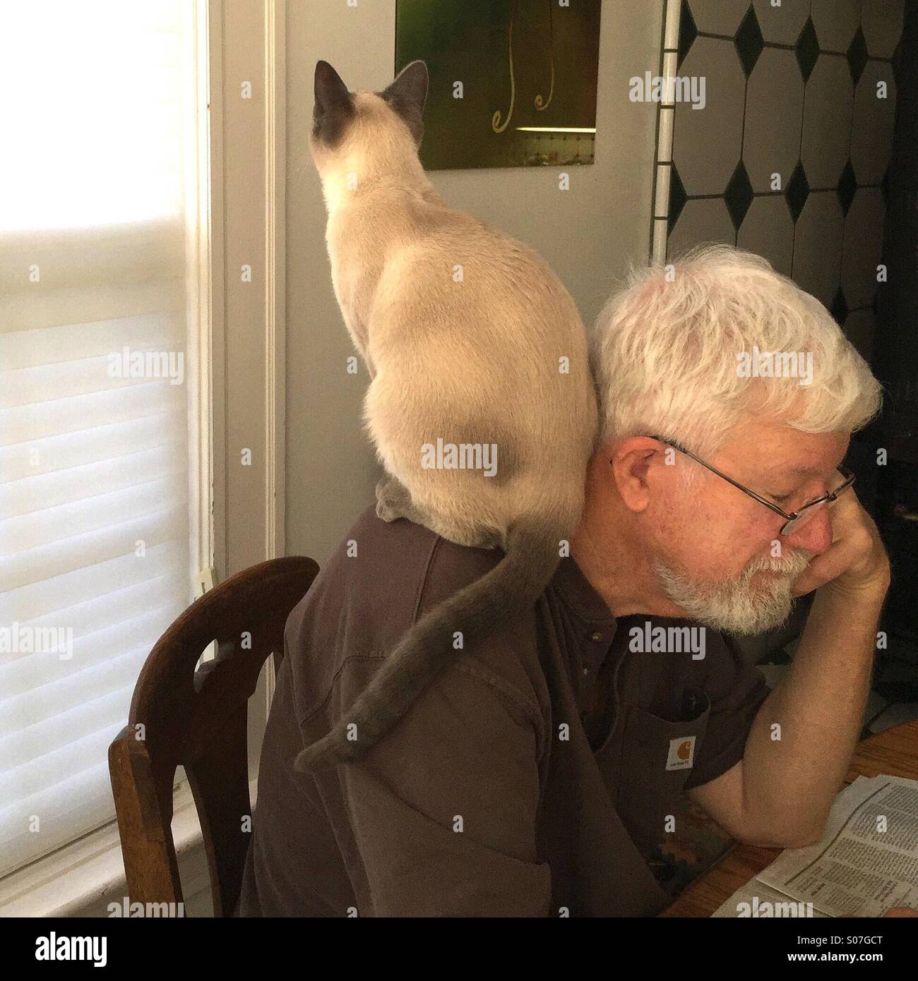 How to Catch a Fly Stock Photo - Alamy