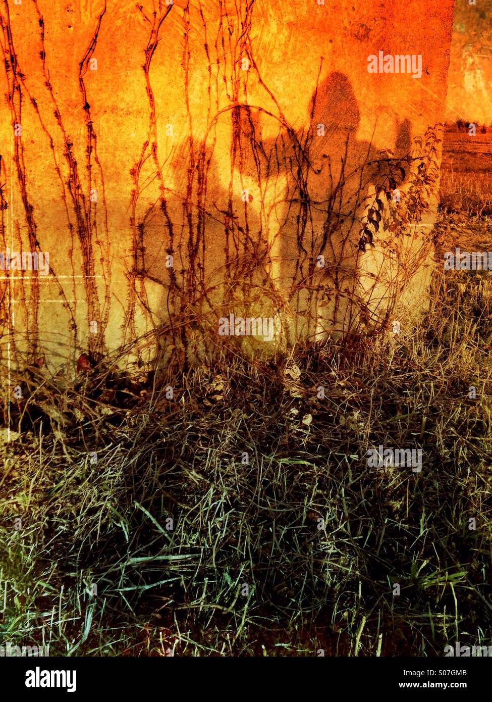 Colorful shadow figures Stock Photo - Alamy