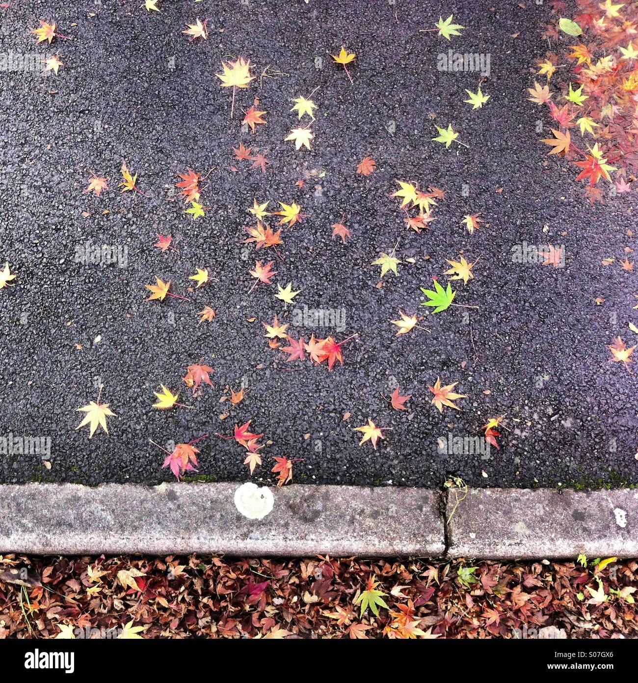 Leaf curb path Stock Photo - Alamy