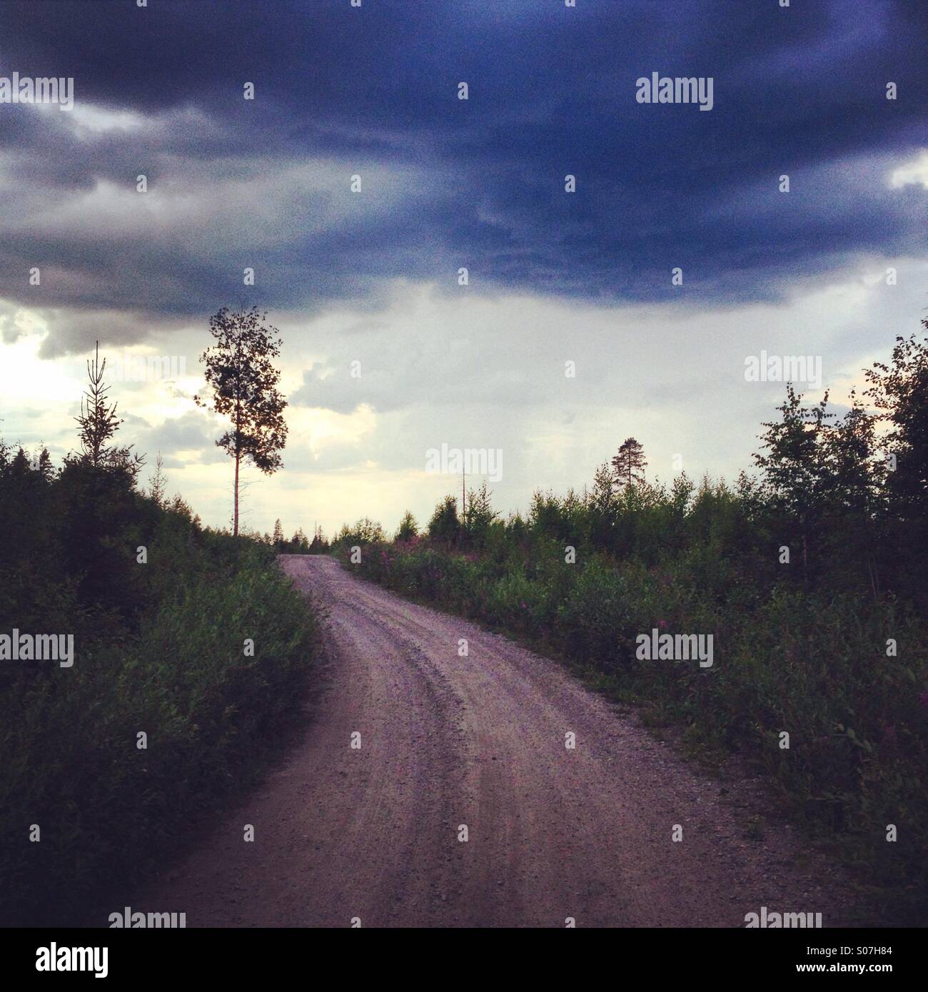 Wilderness road hi-res stock photography and images - Alamy