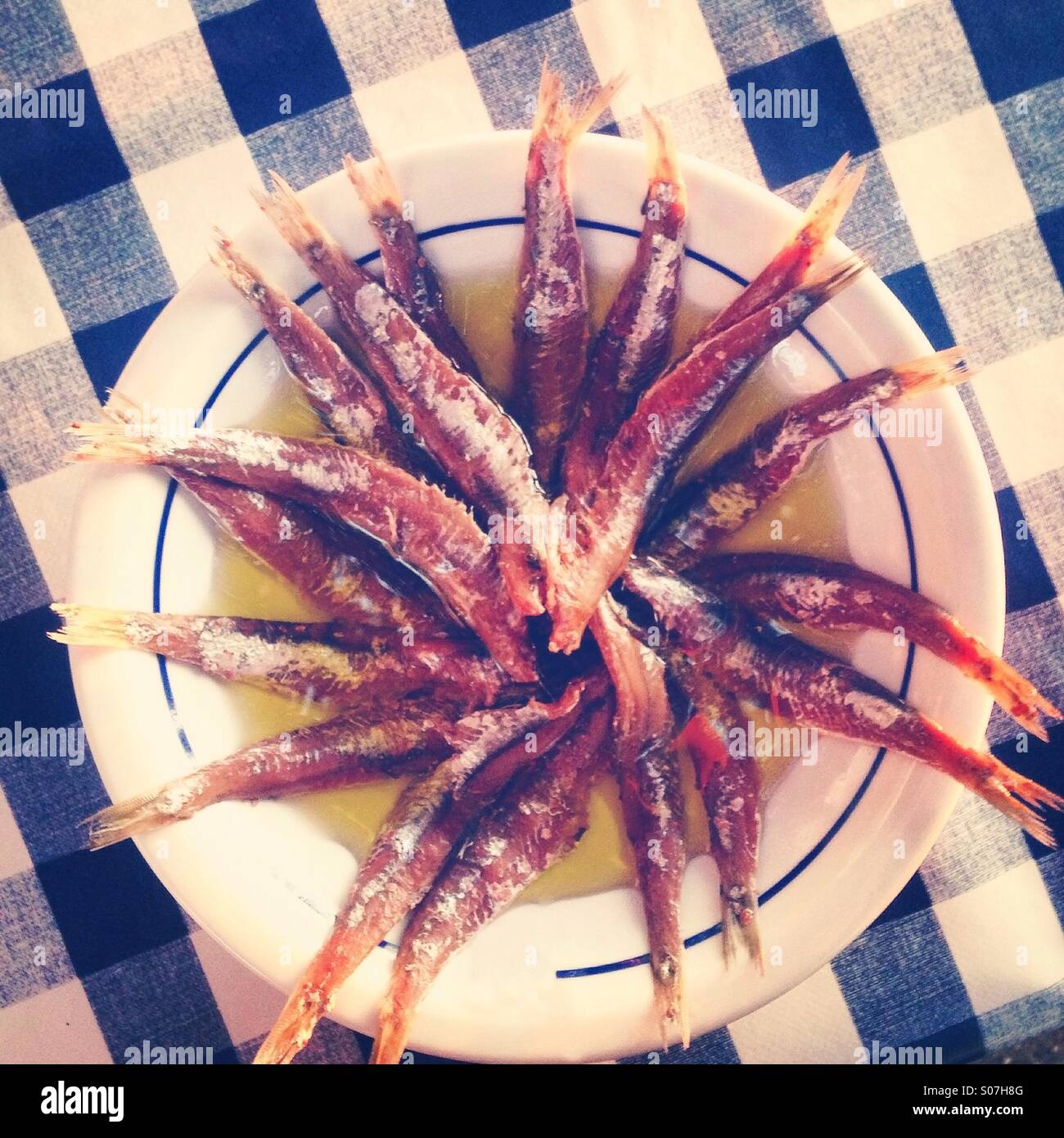 Salted anchovies fish with olive oil on plate Stock Photo - Alamy