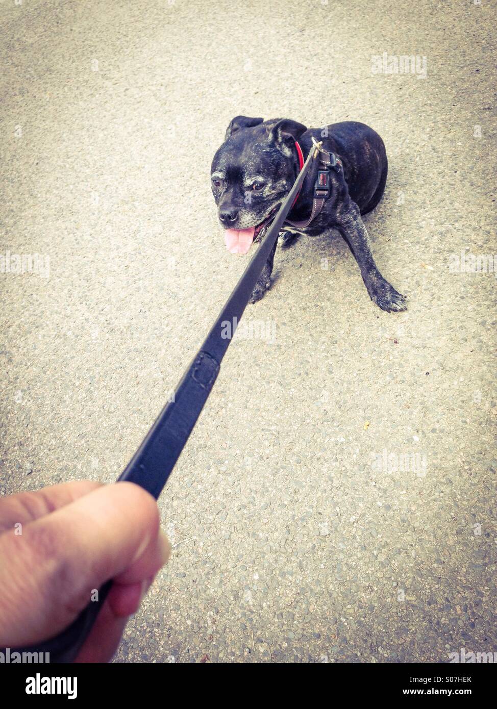 Refusal to move hi-res stock photography and images - Alamy