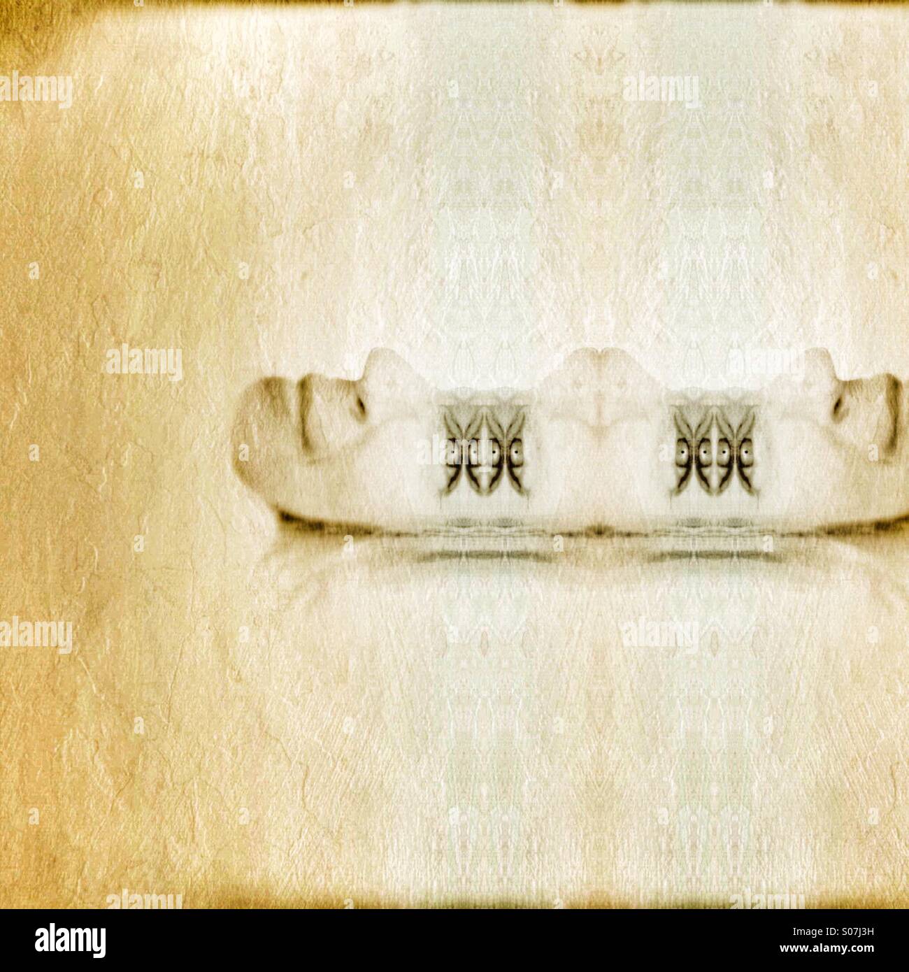 Elongated face hi-res stock photography and images - Alamy