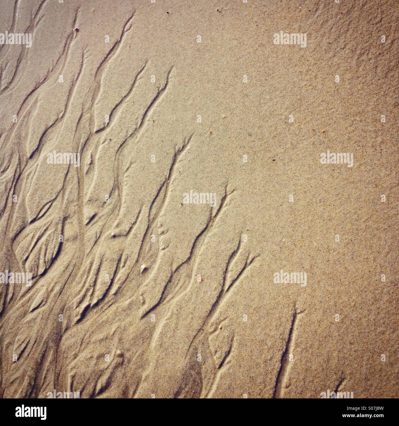 Repetitive shapes hi-res stock photography and images - Alamy