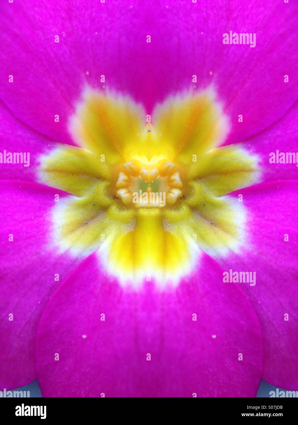 Symmetry effect hi-res stock photography and images - Alamy