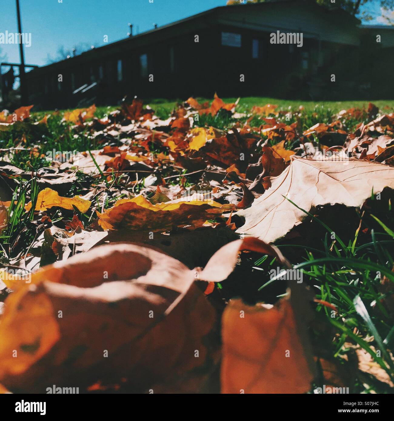 Fall is here Stock Photo - Alamy