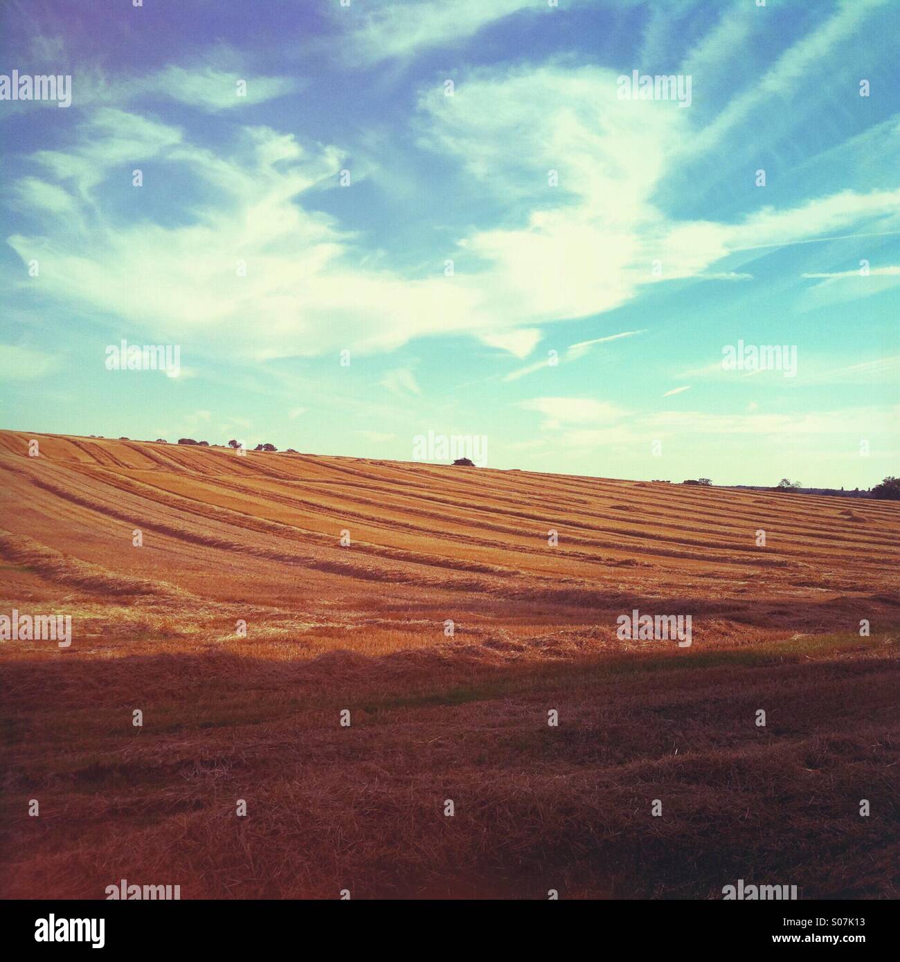 Wheat field farming hi-res stock photography and images - Alamy