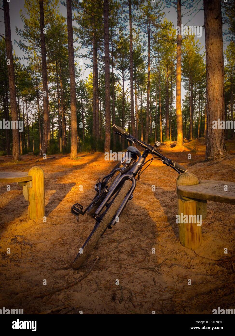 Wheel woods hi-res stock photography and images - Alamy