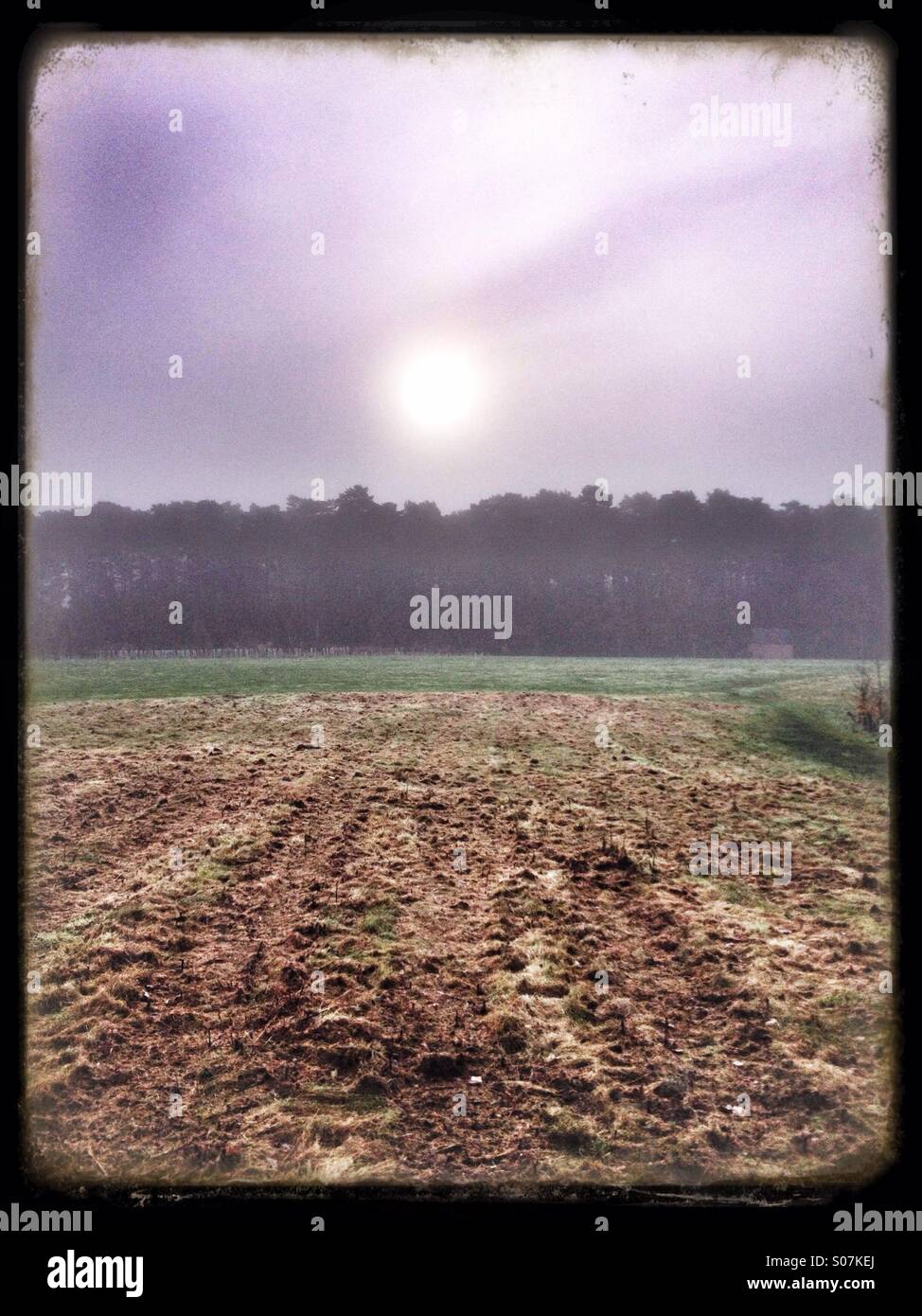 Low winter sun shining through the mist above a field and trees in ...
