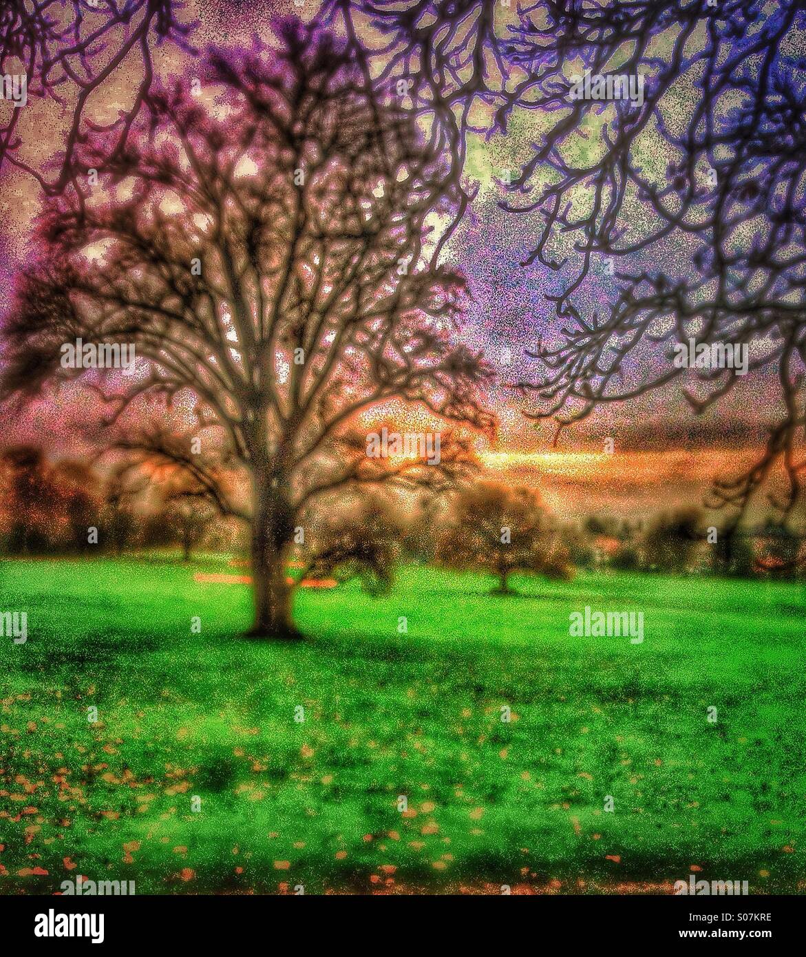 Peckham Rye park Stock Photo - Alamy