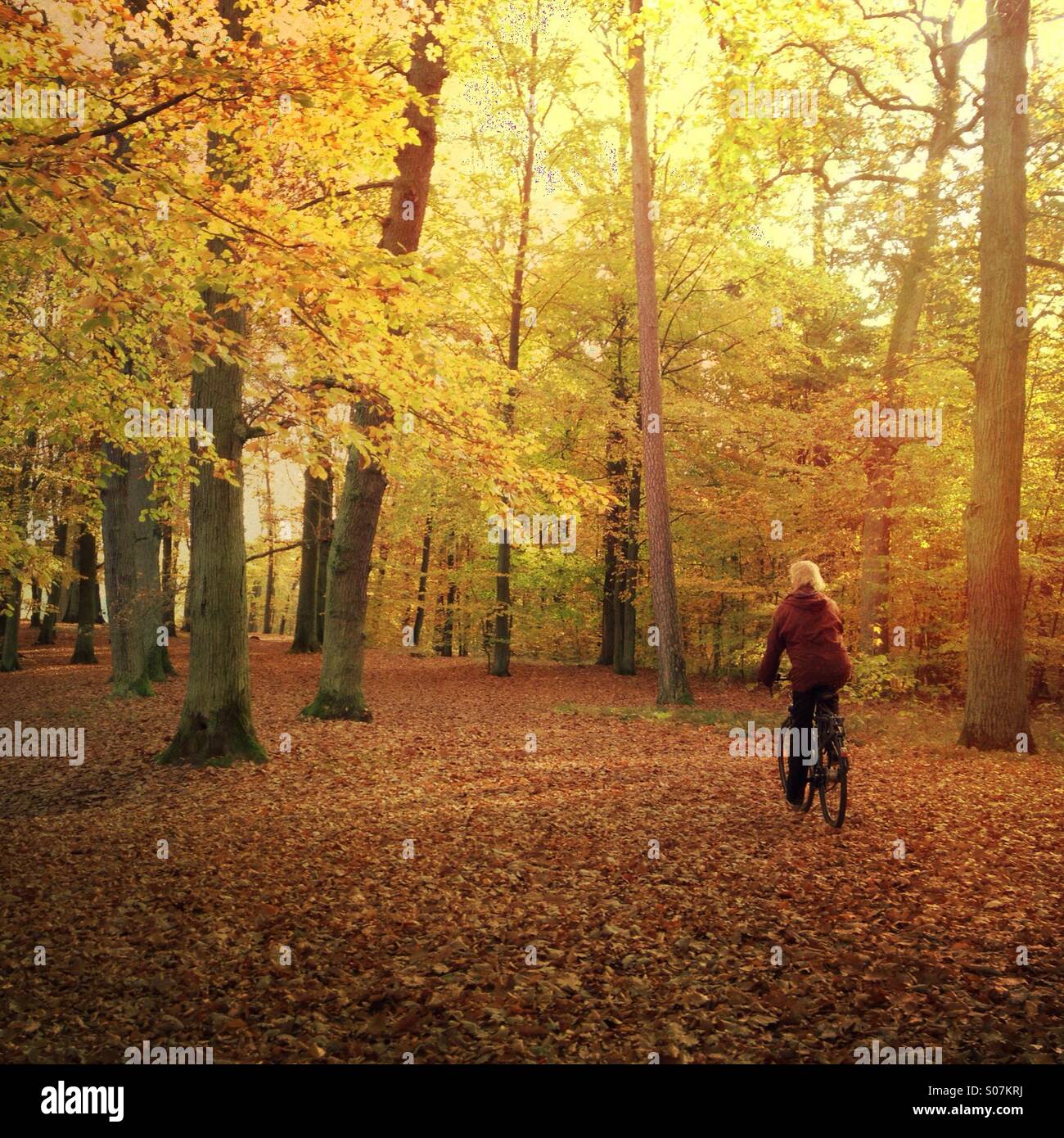 Cyclist in autumn hi-res stock photography and images - Alamy