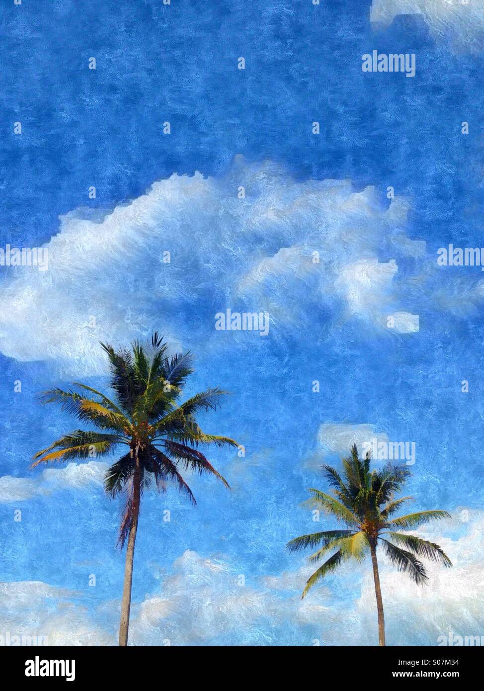 Destination trees hi-res stock photography and images - Alamy