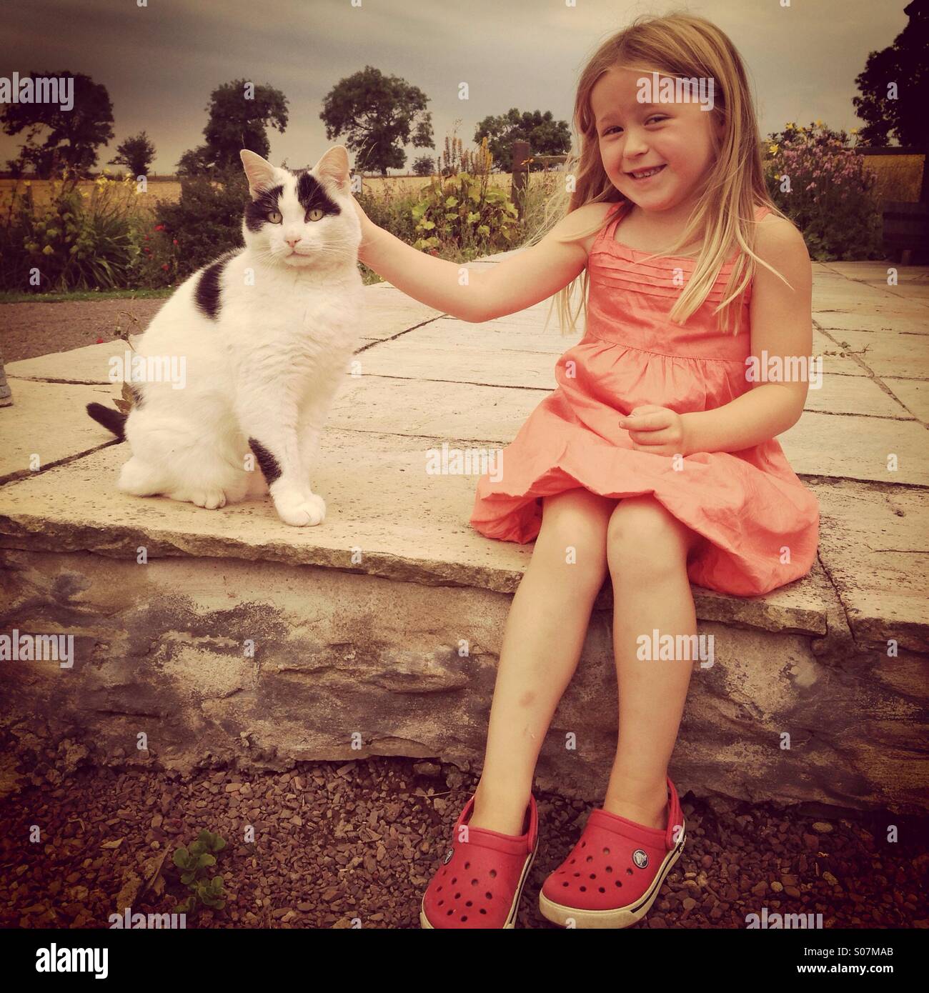 I love Henry the cat Stock Photo - Alamy