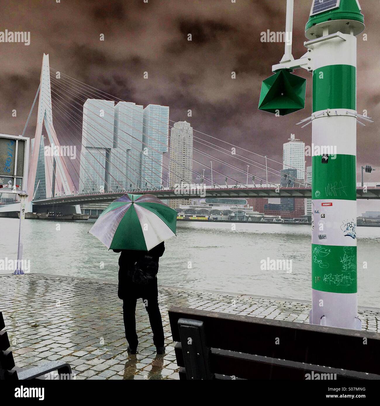 'The Swan' bridge / Rotterdam Stock Photo - Alamy