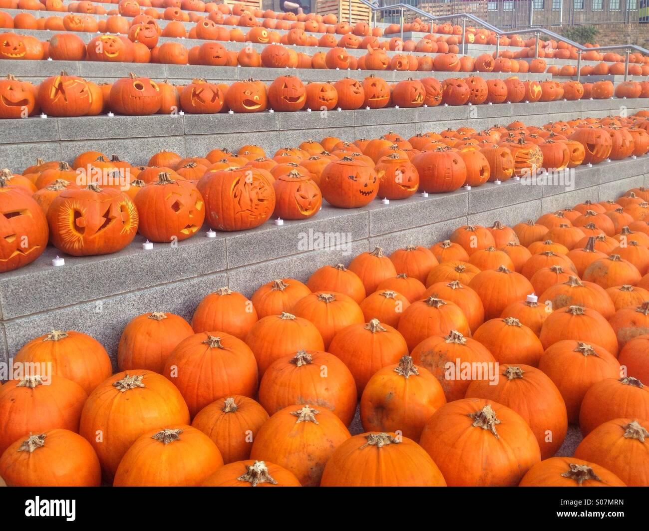 Rows of steps hi-res stock photography and images - Alamy