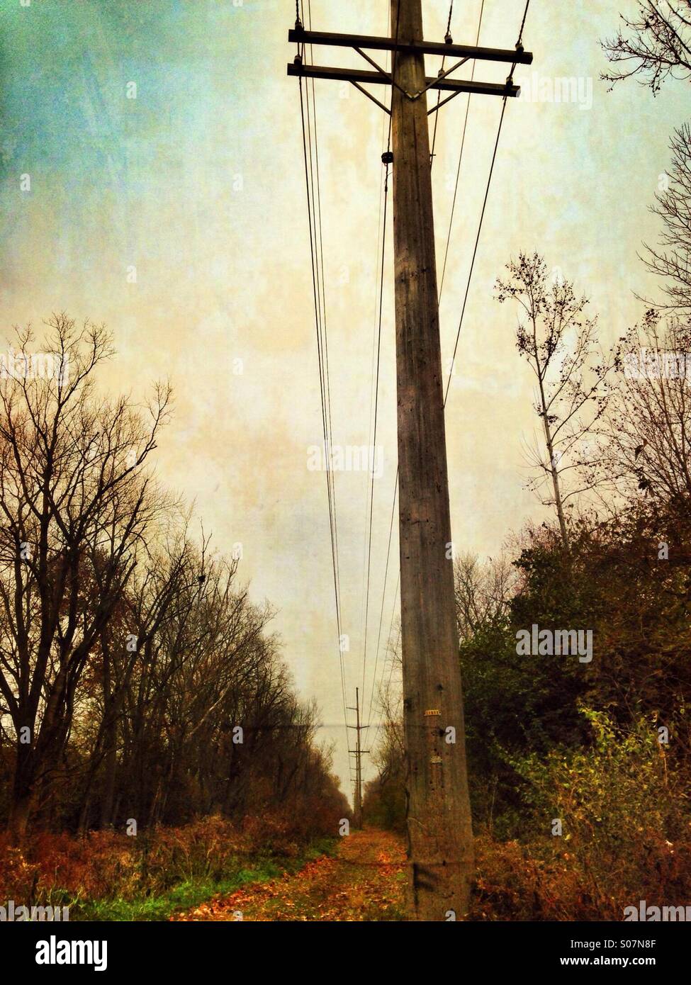 Utility poles hi-res stock photography and images - Alamy