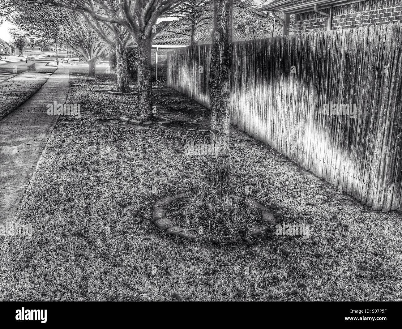 Fence trees hi-res stock photography and images - Alamy