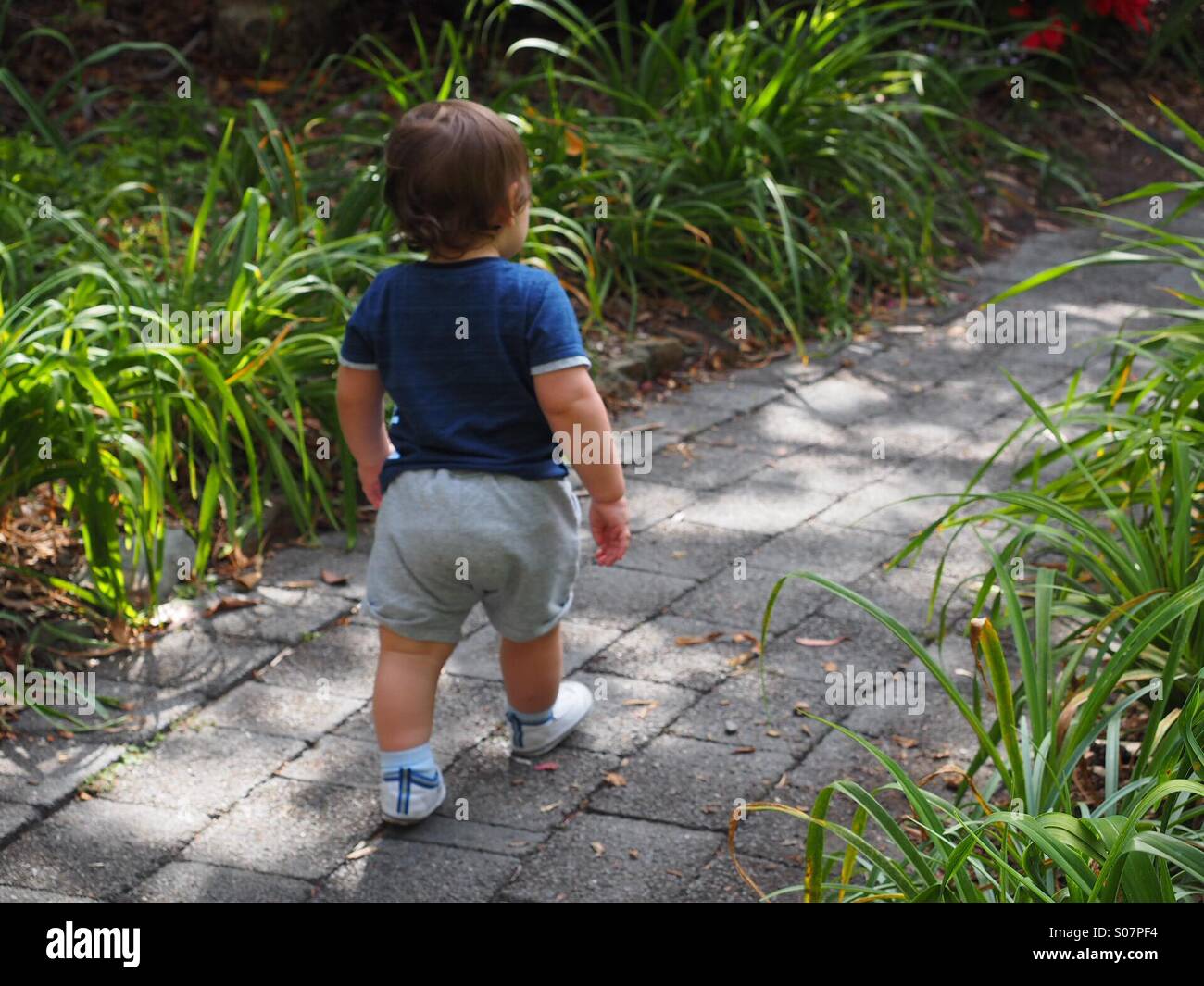 Blue walking path hi-res stock photography and images - Alamy