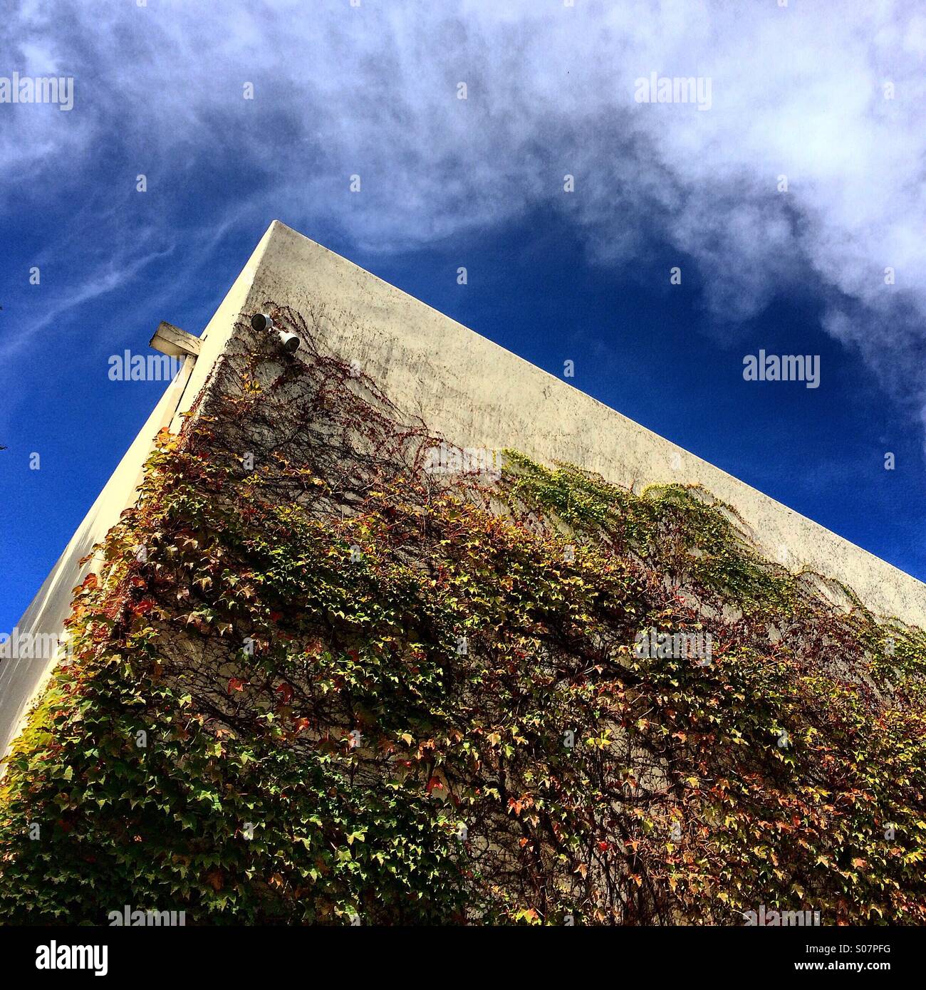 Vineyard wall hi-res stock photography and images - Alamy