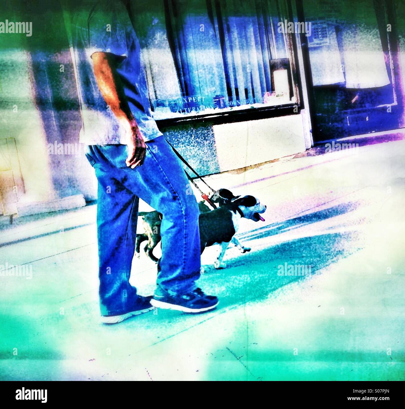 Guy with dogs hi-res stock photography and images - Alamy