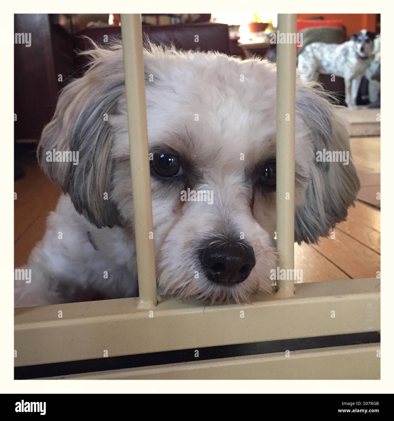 Bars sad hi-res stock photography and images - Alamy