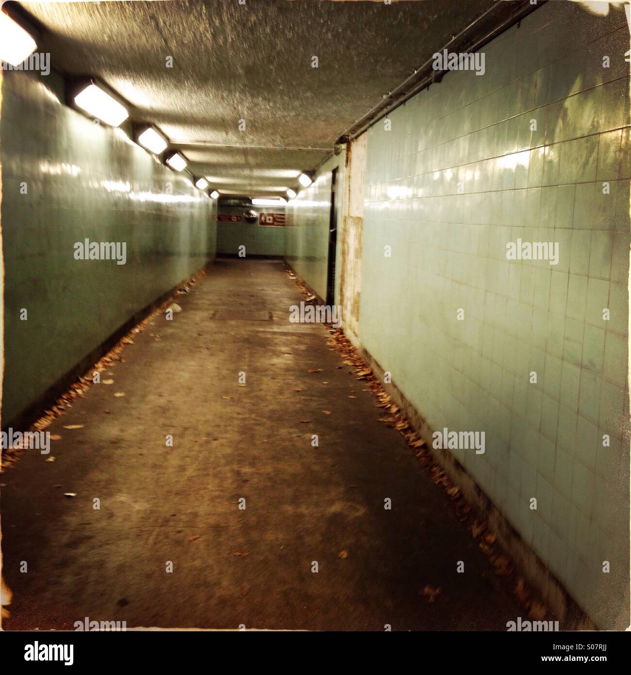 Dingy Lighting High Resolution Stock Photography and Images - Alamy