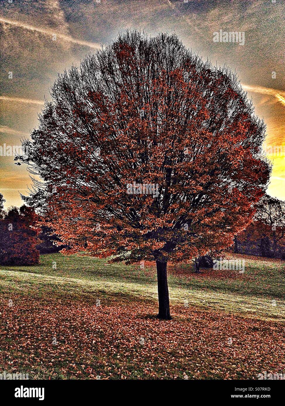 Fallen plane hi-res stock photography and images - Alamy