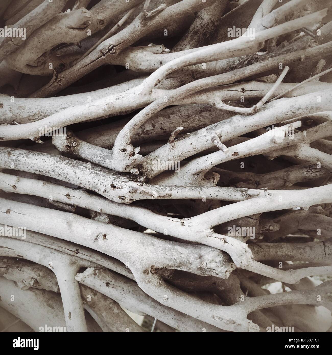 Twigs and branches background hi-res stock photography and images - Alamy