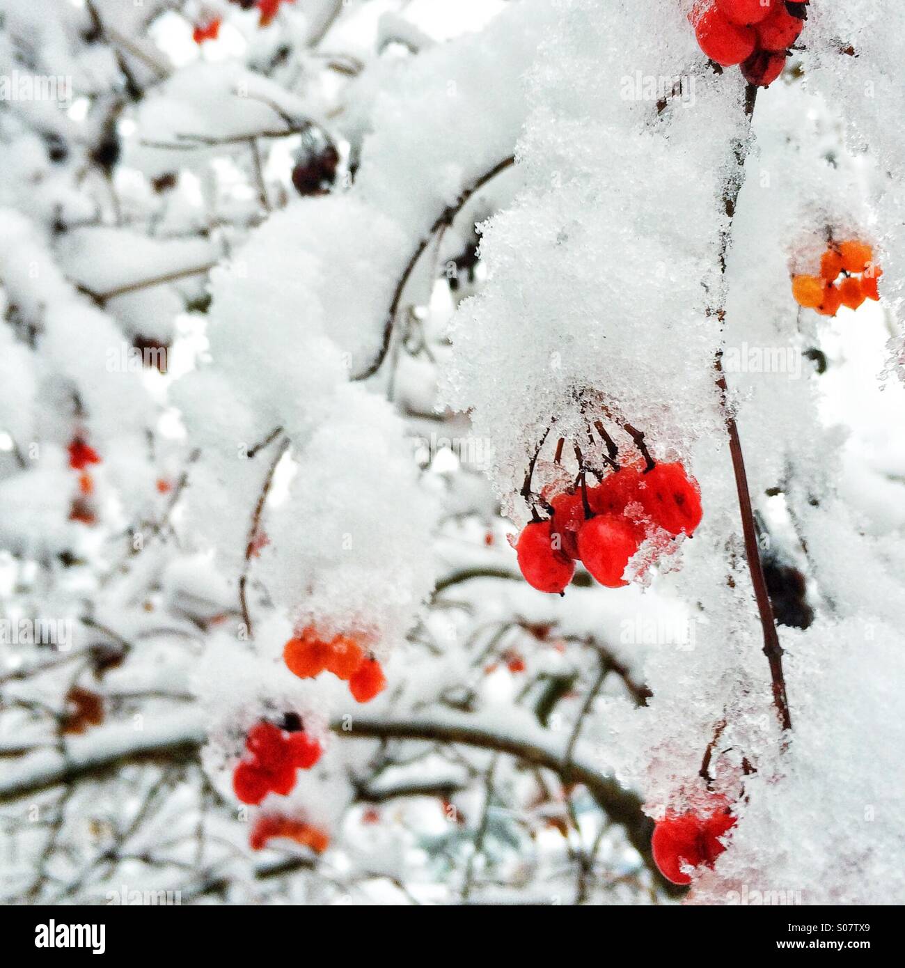 First snow of winter Stock Photo - Alamy