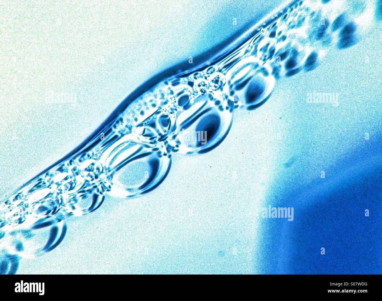 Inverted colours of bubbles on water Stock Photo - Alamy