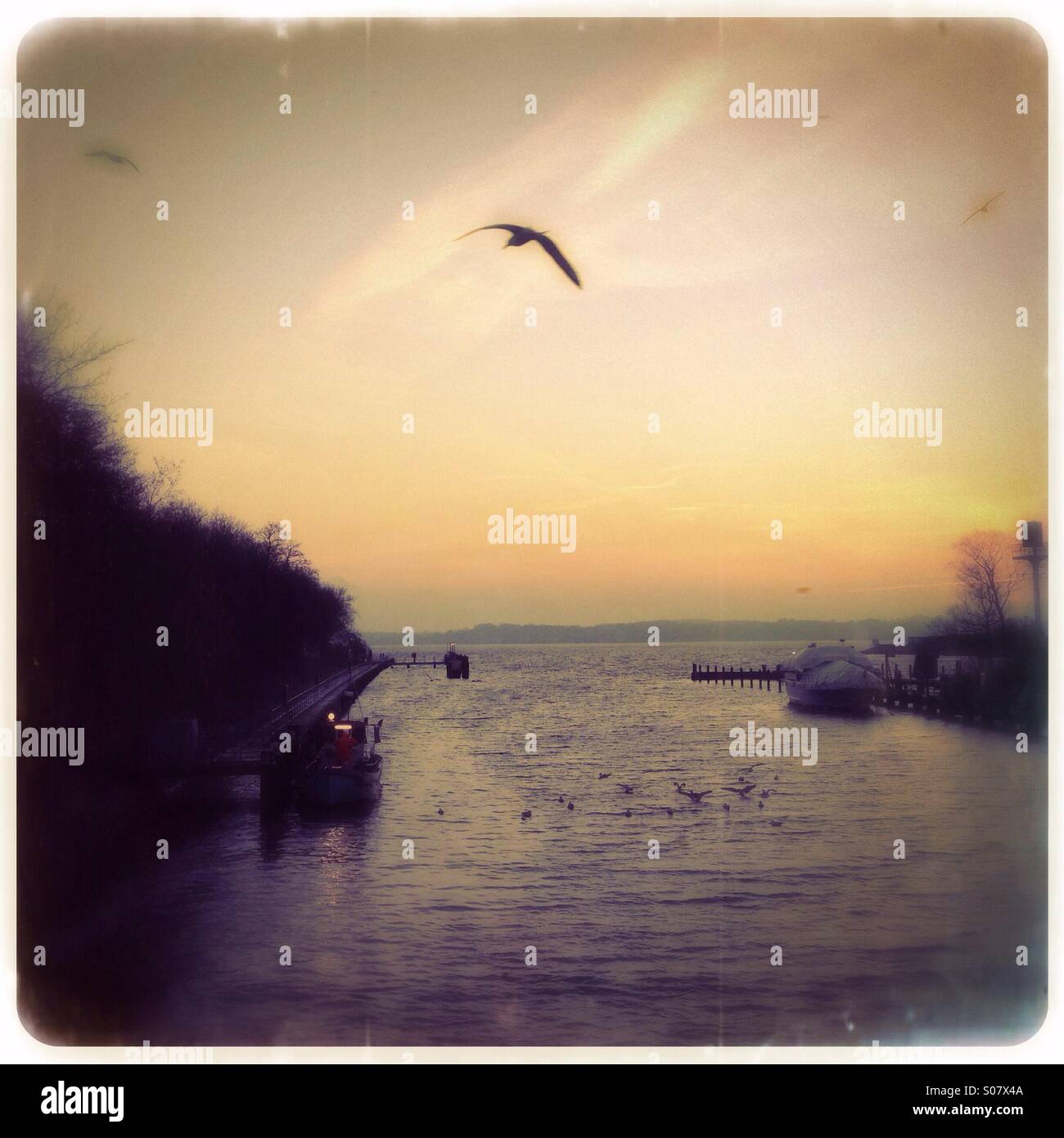 Morninglight hi-res stock photography and images - Alamy