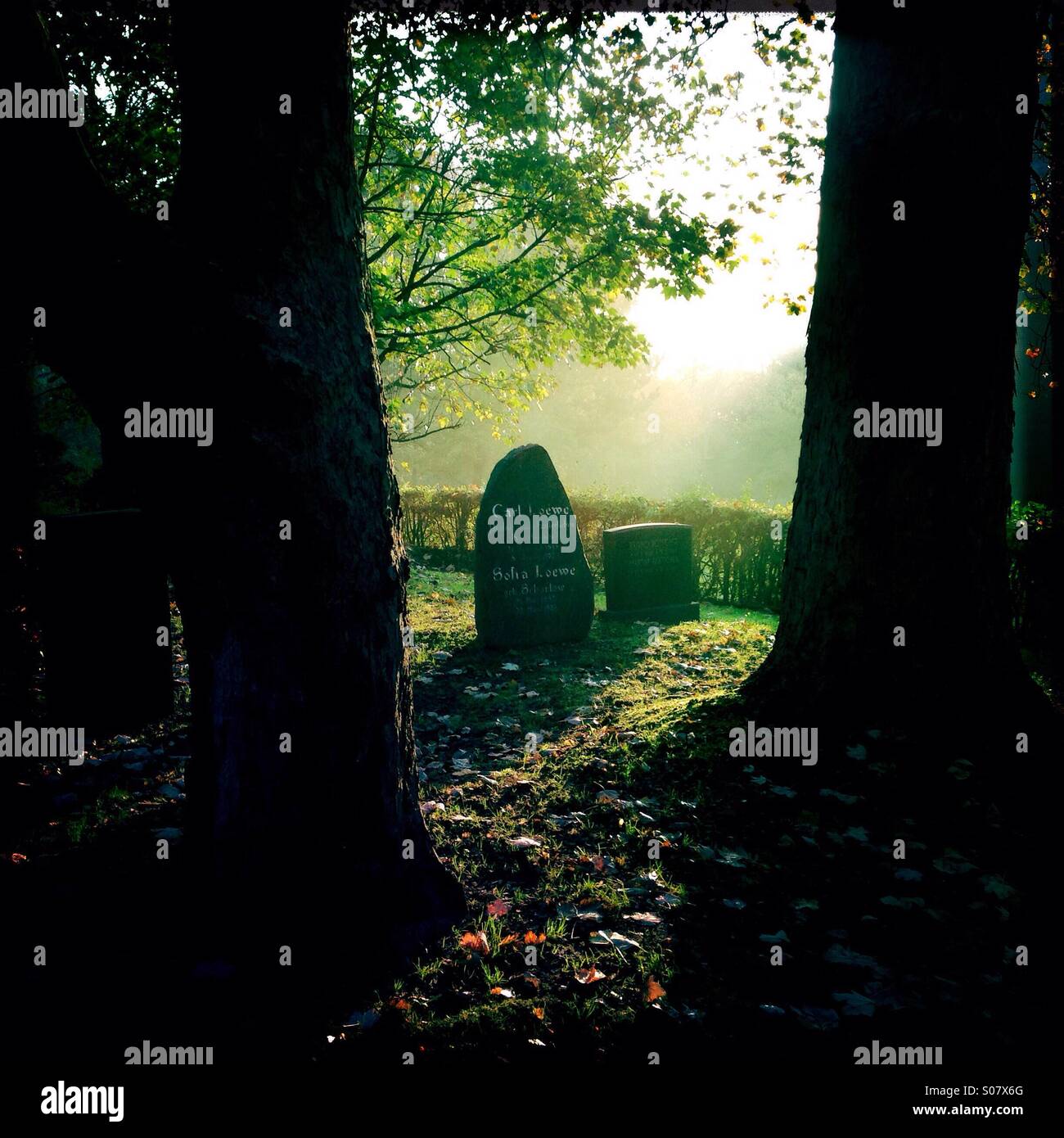 Sun rising at the cemetery Stock Photo - Alamy
