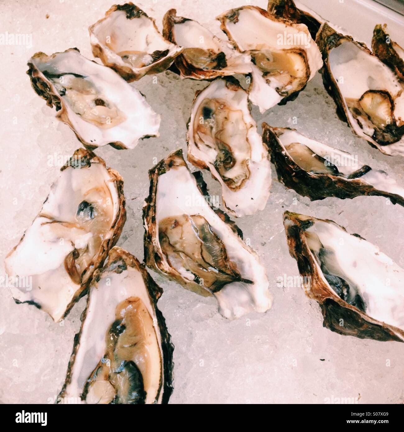 Fresh California oysters Stock Photo - Alamy