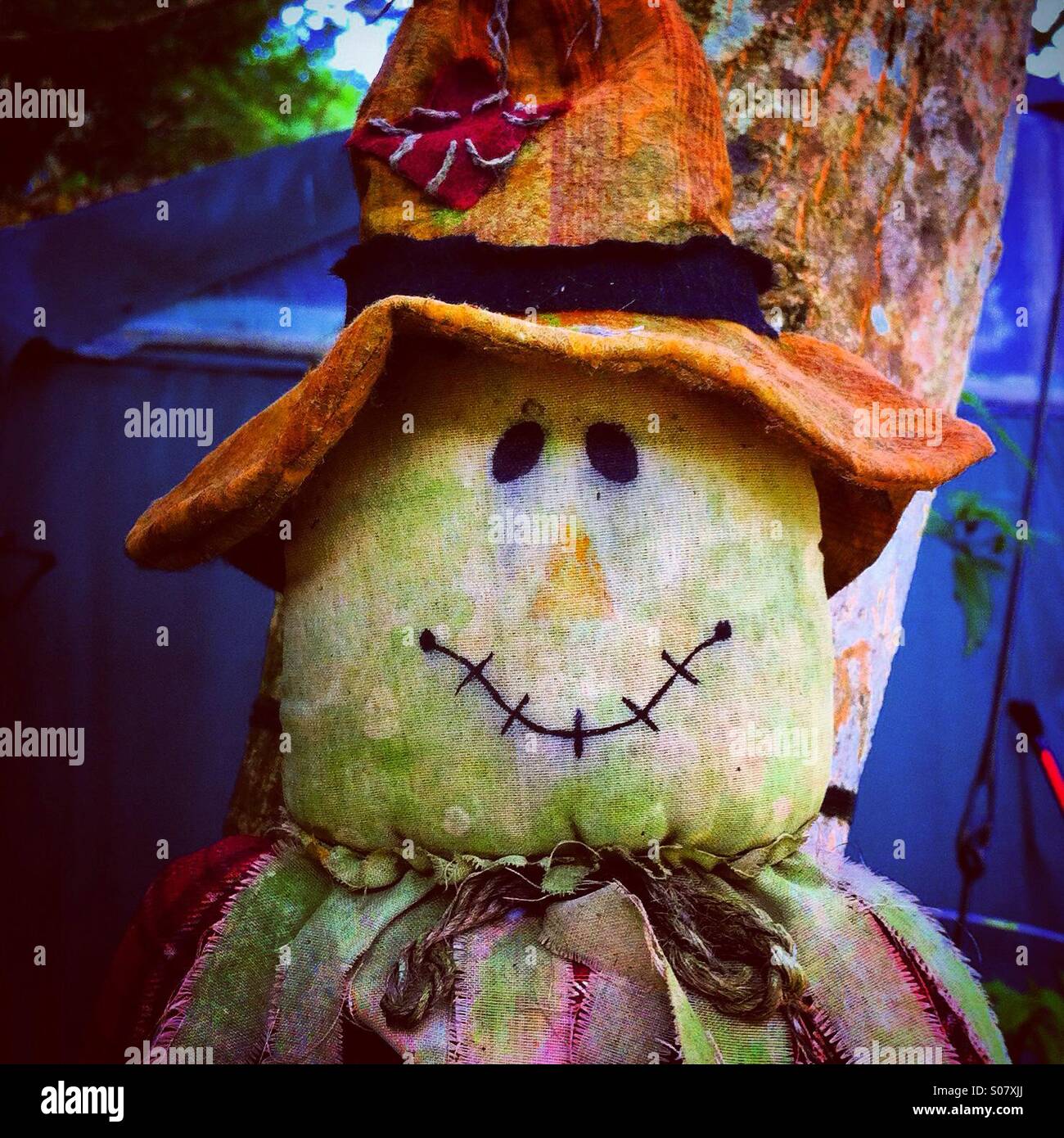 Head of old scarecrow with weird smile Stock Photo - Alamy