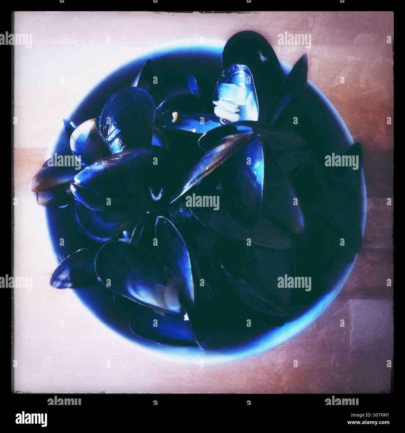 Mussel shells hi-res stock photography and images - Alamy