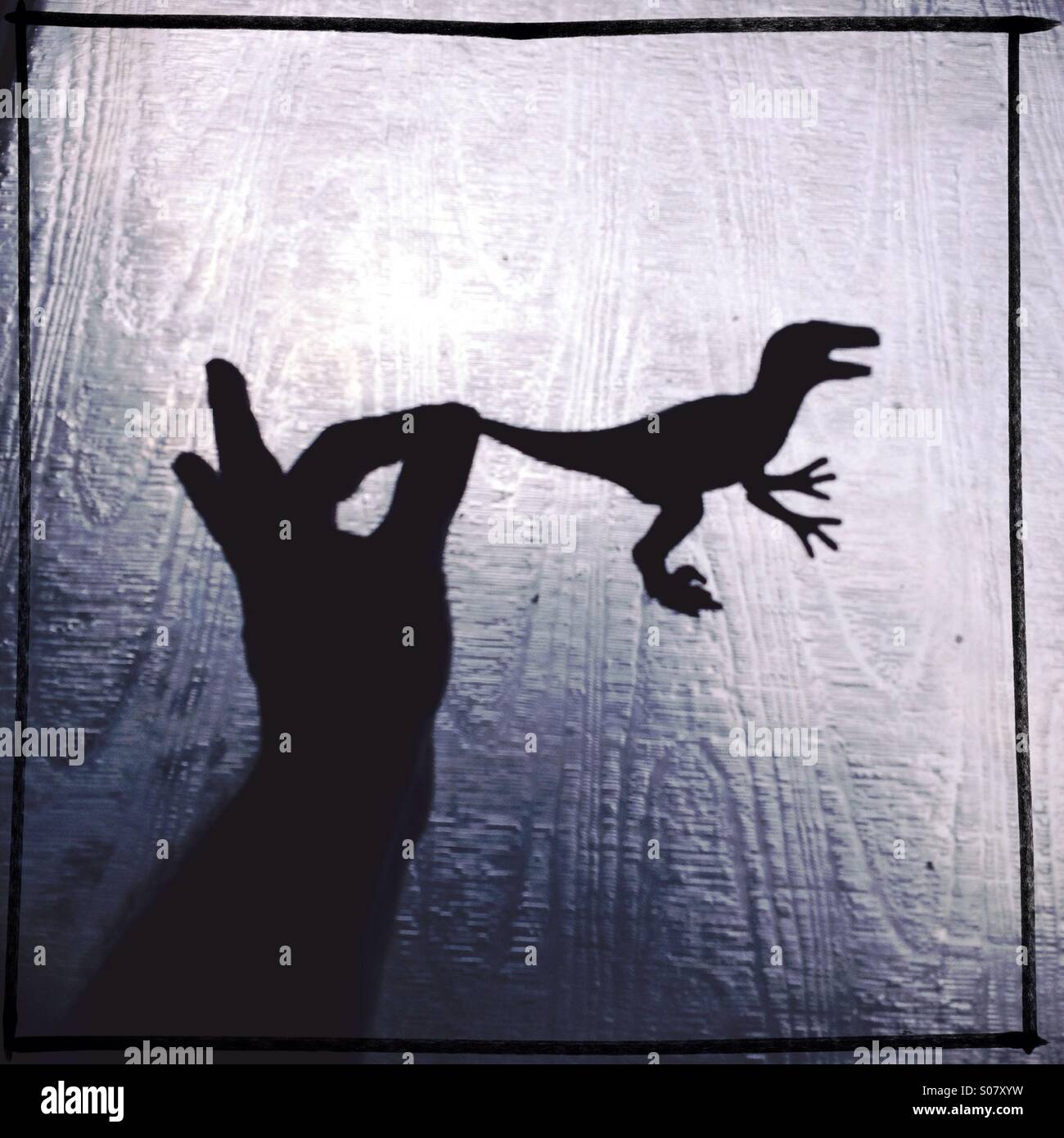 Shadow of dinosaur hi-res stock photography and images - Alamy