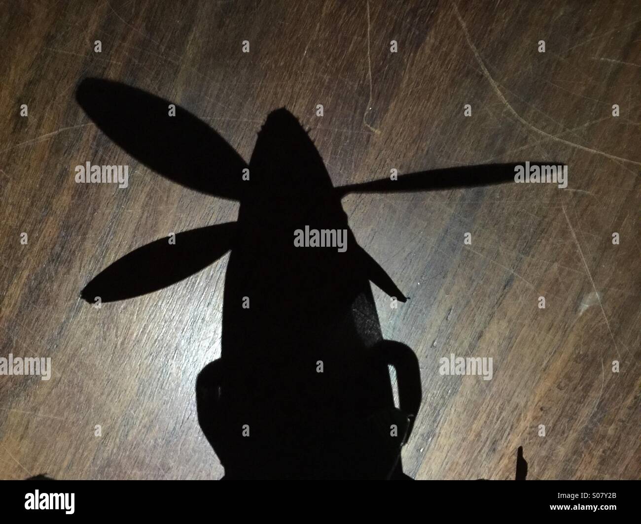 Propeller silhouette hi-res stock photography and images - Alamy