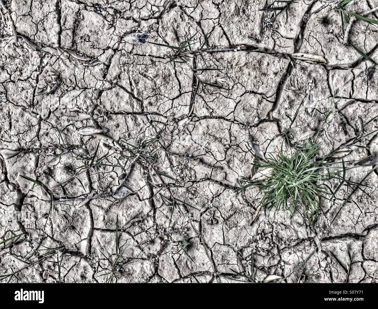 Soil cracking hi-res stock photography and images - Alamy