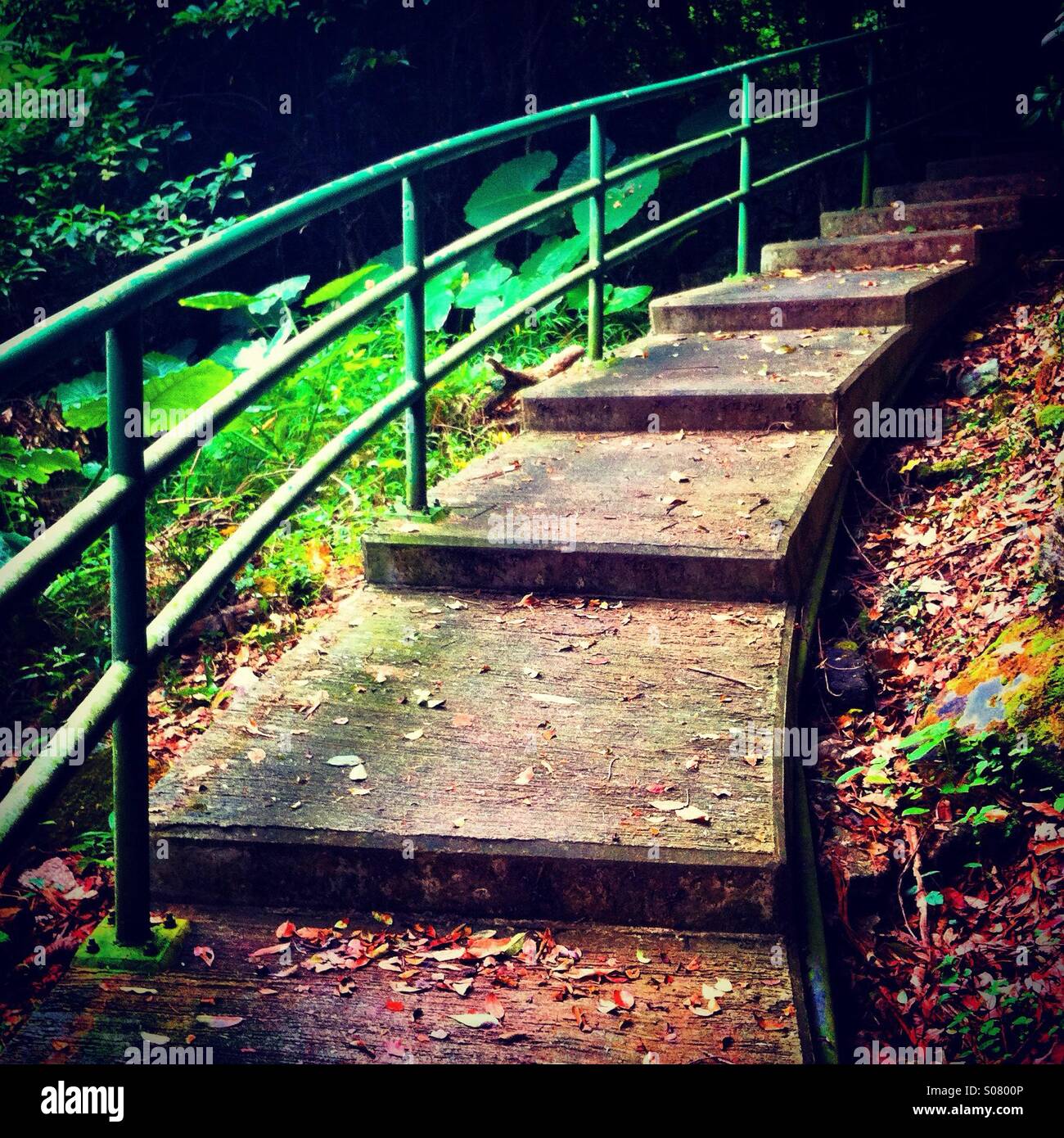 Outdoor steps going up Stock Photo - Alamy