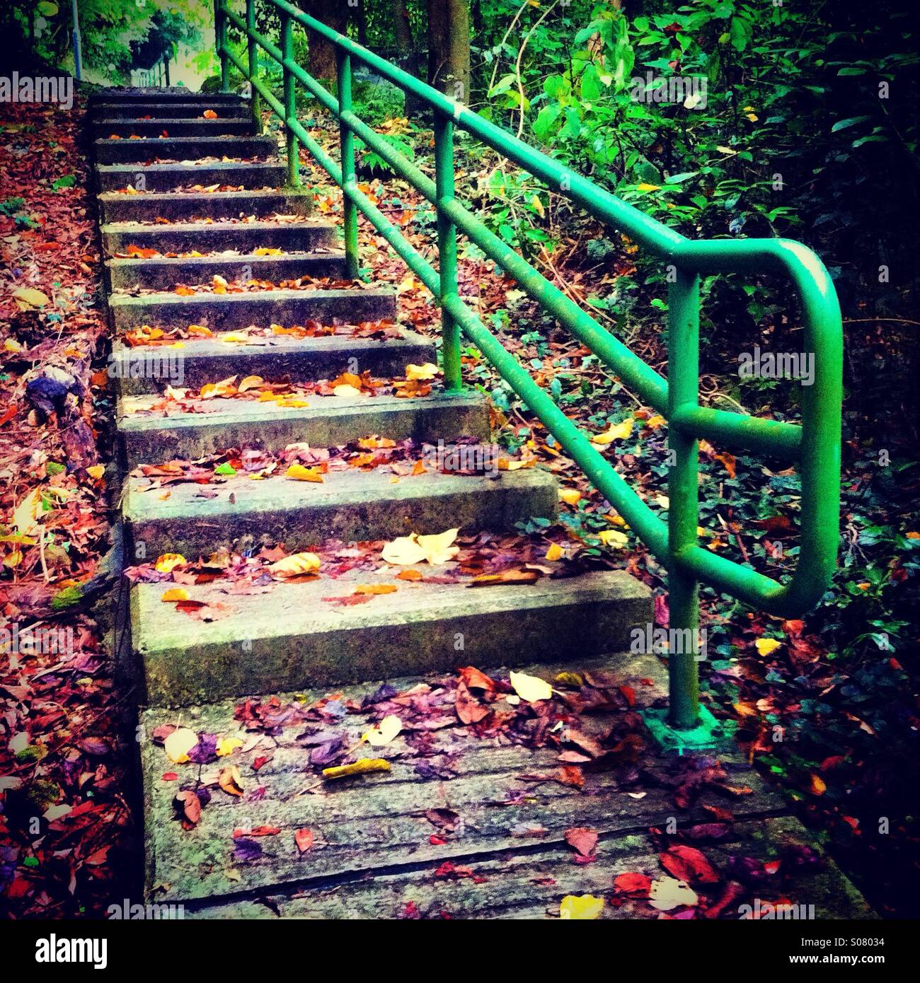 Walking up down outdoor steps hi-res stock photography and images - Alamy