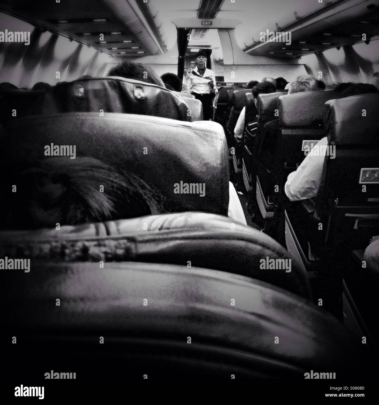 Hostess delivering pre-flight procedures to passengers Stock Photo - Alamy