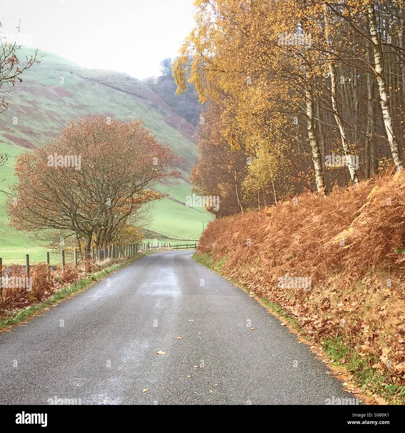 Autumn rural road hi-res stock photography and images - Alamy