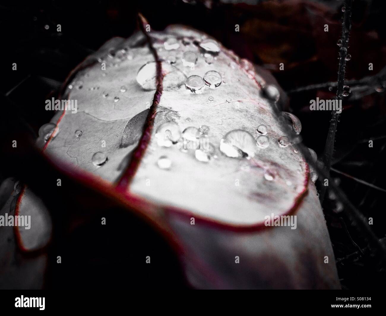 Drops of color Stock Photo - Alamy